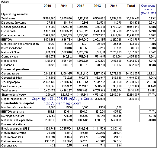 Online Business Plan Financial Summary